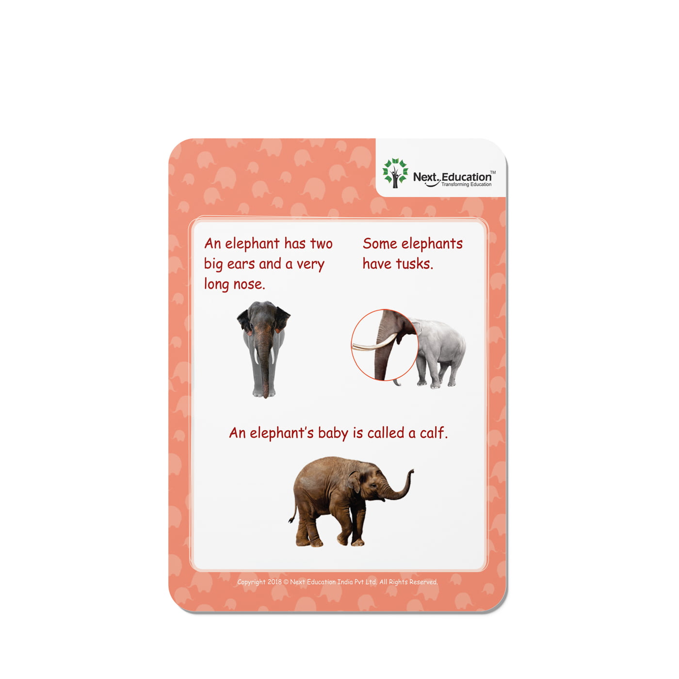 Next AR leaflet - Primer B (Set of 20)