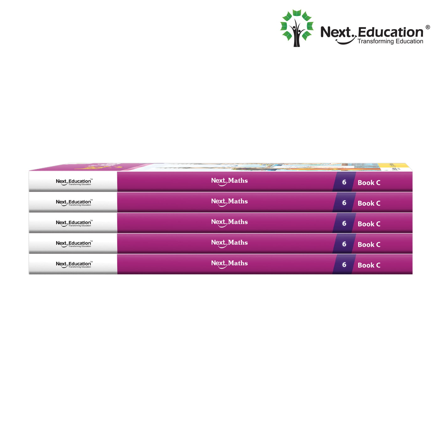 Buy Next Maths CBSE Workbook for 6th class / Level 6 Book C - Secondary ...